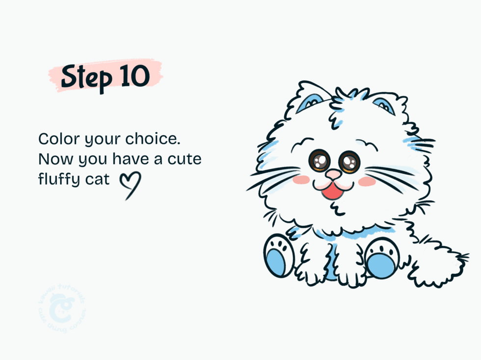 How to Draw a cute Fluffy Cat (Step-by-step)