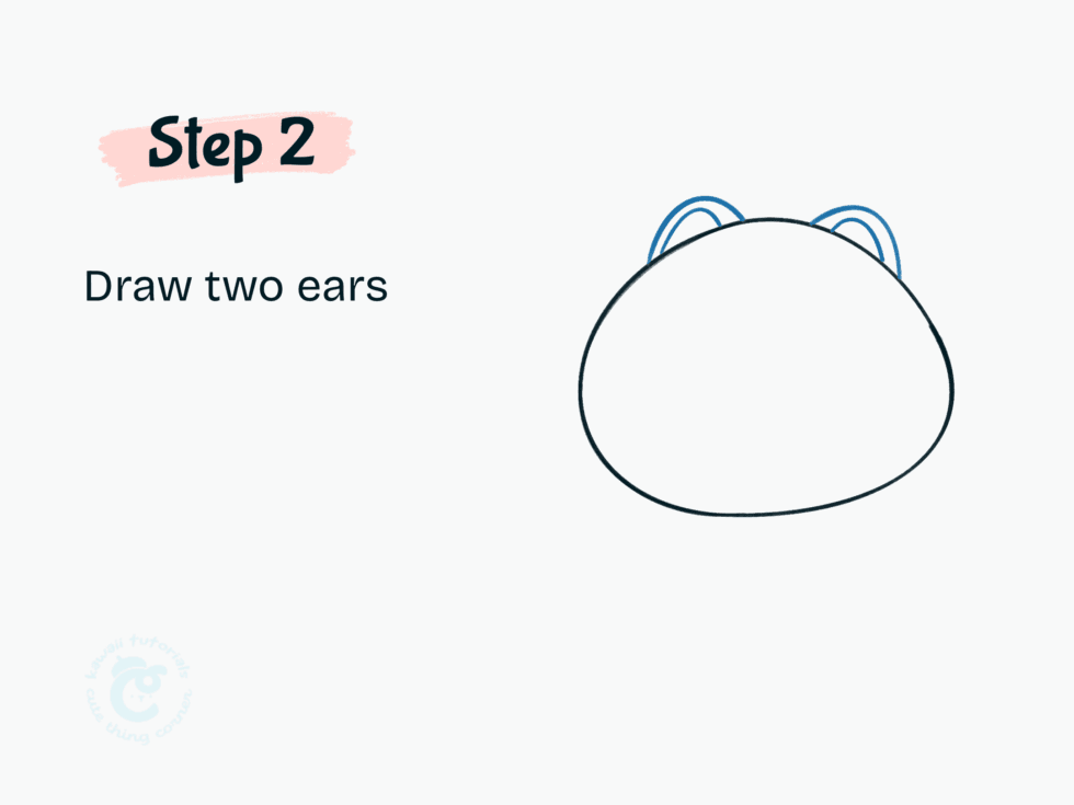 How to Draw a cute Fluffy Cat (Step-by-step)